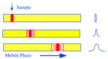 Longitudinal Diffusion from Principles and Practice of Chromatography
